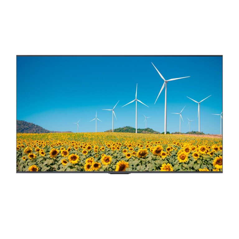 Hisense 55DP30FE 55" 4K Digital Signage Display | Retail and ...